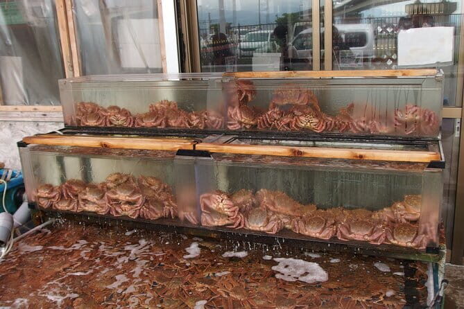 Private Full Day Guided Tour In Hakodate - Shopping and Strolling at Kanemori Red Brick Warehouses