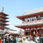 Private Full-Day Guided Tour in Tokyo: Customized Just for You - Who’s It For?