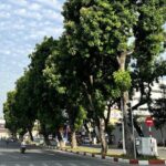 Private Full-day Hanoi City Tour With Local Experts - Authentic Experiences and Guided Insights