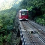 Private Full-Day Hong Kong Island Top Attraction Tour - Authentic Insights from Real Travelers