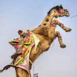 Private Full Day Jaipur Sightseeing Tour By Tuk-Tuk (Rickshaw) - What Makes This Tour Valuable?