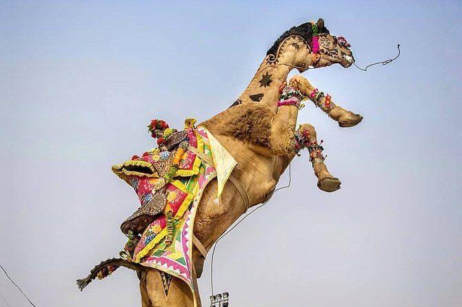 Private Full Day Jaipur Sightseeing Tour By Tuk-Tuk (Rickshaw) - What Makes This Tour Valuable?