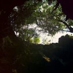 Private Full Day Jomblang and Pindul Caves Oyyo River Tubing Tour - Why This Tour Is Valuable