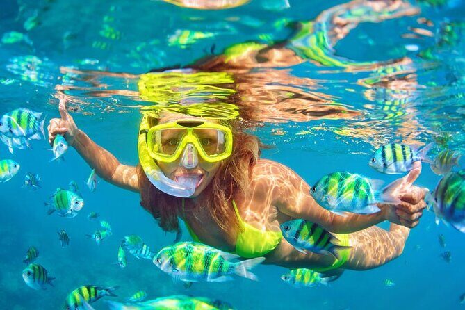 Private Full-Day Lovina Dolphin Watching and Snorkeling Boat Tour - Final Thoughts