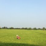 Private Full-day Mekong Tour From Ho Chi Minh City, Including River Cruise - The Logistics: Transport, Timing, and Group Size