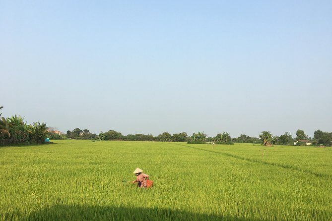 Private Full-day Mekong Tour From Ho Chi Minh City, Including River Cruise - The Logistics: Transport, Timing, and Group Size