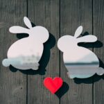 Private Full-Day Okunoshima and Hiroshima Sake Breweries Tour - Who Will Love This Tour?