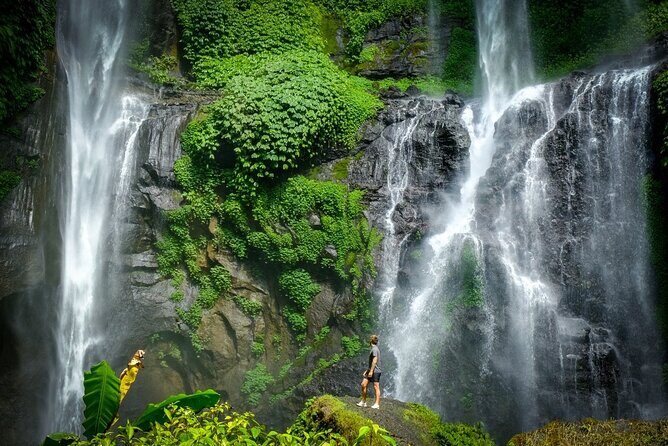 Private Full-Day Sekumpul Waterfall Hiking Tour - What to Expect from the Tours Logistics
