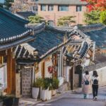 Private Full Day Seoul City Tour and N Tower Cable Car - Who Will Enjoy This Tour Most?