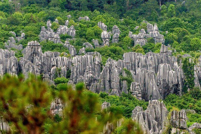 Private Full-Day Tour from Kunming: Stone Forest and Golden Temple - The Golden Temple
