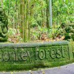 Private Full-Day Tour in Bali & FREE WIFI - Authentic Experiences and Review Highlights