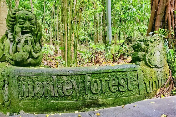 Private Full-Day Tour in Bali & FREE WIFI - Authentic Experiences and Review Highlights