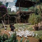 Private Full Day Tour in Sapa by Car - Is This Tour Worth Its Price?