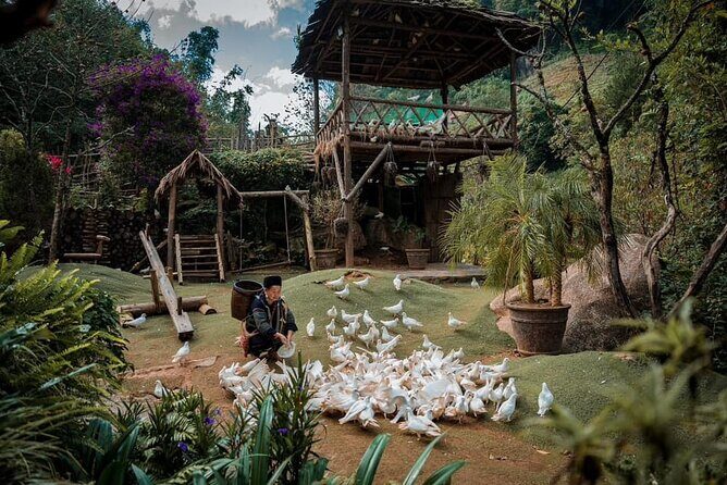 Private Full Day Tour in Sapa by Car - Is This Tour Worth Its Price?