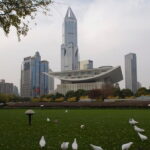 Private Full-Day Tour of Shanghai with Hotel Pick Up - Final Thoughts: Why Choose This Tour?