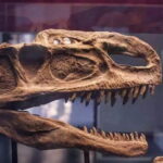Private Full-Day Tour to Fuxian Lake and Chengjiang Fossil Site - Why You Should Consider This Tour
