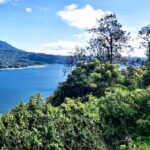 Private Full Day Trip Lovina Watching Dolphins and Wanagiri - Wanagiri Hidden Hills: Panoramic Views and Romantic Vistas