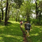 Private Full Day Wild Trails at Thekkady - How the Experience Feels in Practice