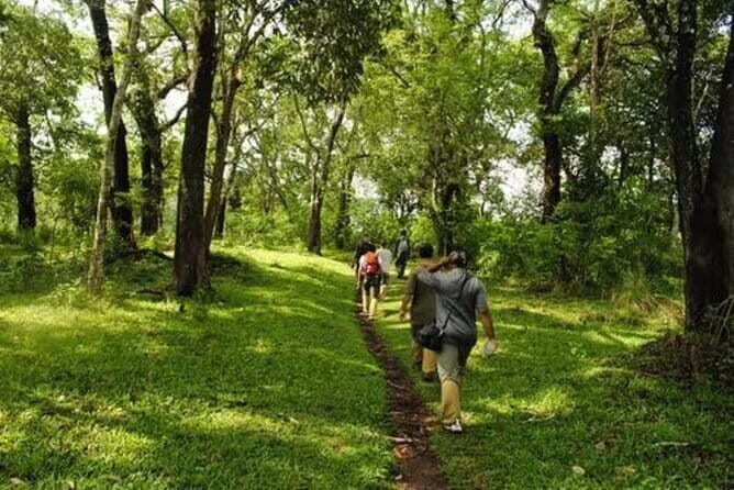 Private Full Day Wild Trails at Thekkady - How the Experience Feels in Practice