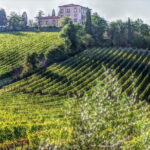 PRIVATE Full-Day Wine Experience in Chianti Classico. - Who Will Love This Tour?