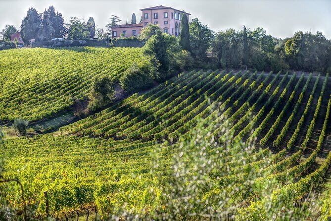 PRIVATE Full-Day Wine Experience in Chianti Classico. - Who Will Love This Tour?