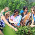 Private Galle Day Tour with Boat Safari & Tea Factory Visit - All Inclusive - Who is This Tour Best For?