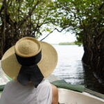 Private Galle Day Tour with River Safari, Stilt fishing & Turtles - What Makes This Tour Valuable?