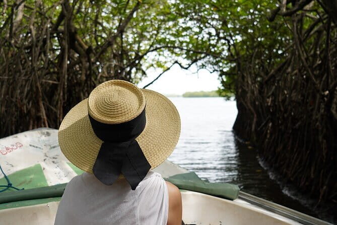 Private Galle Day Tour with River Safari, Stilt fishing & Turtles - What Makes This Tour Valuable?