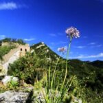 Private Great Wall Hiking from Jiankou to Mutianyu - What Sets This Tour Apart?