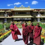 Private Guided Dharamshala Tour with Scenic Views & Lunch - The Sum Up