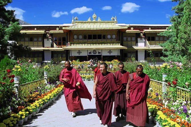 Private Guided Dharamshala Tour with Scenic Views & Lunch - The Sum Up