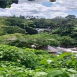 Private Guided Full Day Ubud Tour - Authentic Experiences and Proven Value