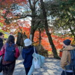 Private Guided Half-Day Walking Tour in Yoshinoyama - Final Thoughts