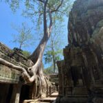 Private Guided Multi-Day Historical Tour in Temples of Cambodia - Who This Tour Fits Best