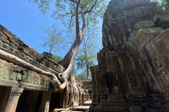 Private Guided Multi-Day Historical Tour in Temples of Cambodia - Who This Tour Fits Best
