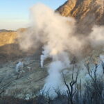 Private Hakone Tour from Tokyo - The Sum Up