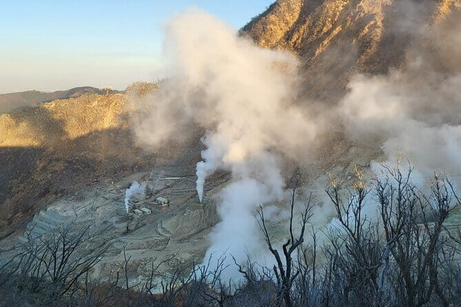 Private Hakone Tour from Tokyo - The Sum Up