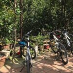 Private Half-Day Bicycle Guided Tour Explore The Countryside Of Nha Trang - Who Will Love This Tour?