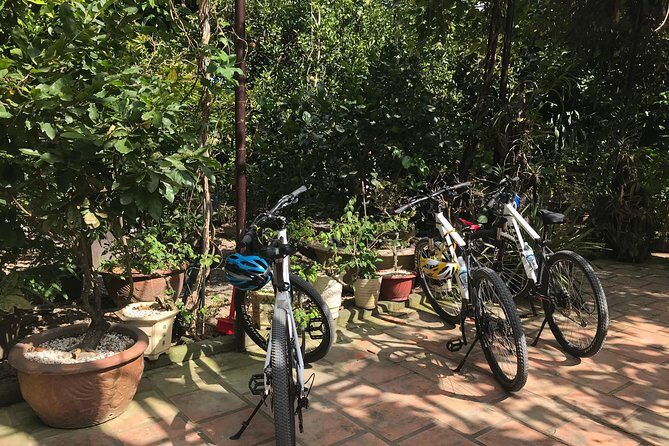 Private Half-Day Bicycle Guided Tour Explore The Countryside Of Nha Trang - Who Will Love This Tour?