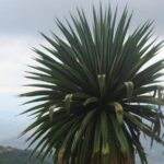 Private Half Day Bird Watching Experience - Exploring the Presa Piedra Azul Experience