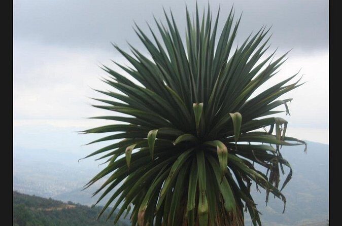 Private Half Day Bird Watching Experience - Exploring the Presa Piedra Azul Experience