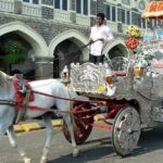 Private Half-Day City Tour of Mumbai - Who Will Love This Tour?