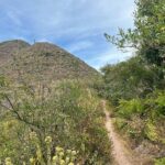 Private Half Day Hiking Experience in Picacho - Authentic Insights from Travelers