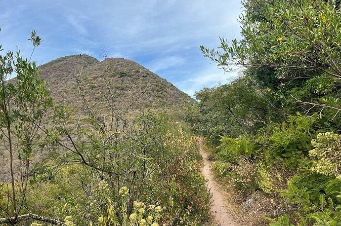 Private Half Day Hiking Experience in Picacho - Authentic Insights from Travelers