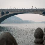 Private Half-Day Longmen Grottoes Walking Tour from Luoyang - Who Should Take This Tour?