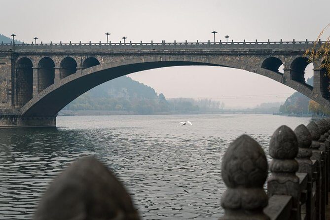 Private Half-Day Longmen Grottoes Walking Tour from Luoyang - Who Should Take This Tour?