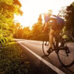 Private Half-Day National Botanic Garden Cycling Tour from Kuala Lumpur - The Garden Itself: A Walk Through Malaysia’s Botanical Heritage