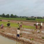 Private Half Day to Banteay Ampil & Countryside by Jeep - The Experience of Visiting Hidden Temples and Village Life
