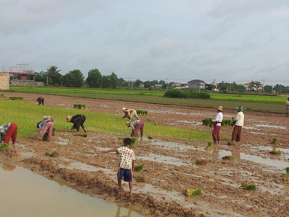 Private Half Day to Banteay Ampil & Countryside by Jeep - The Experience of Visiting Hidden Temples and Village Life