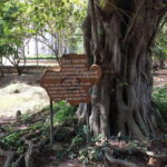 Private Half Day to Killing Field and S21 Genocidal Museum - A Clear Look at the Experience